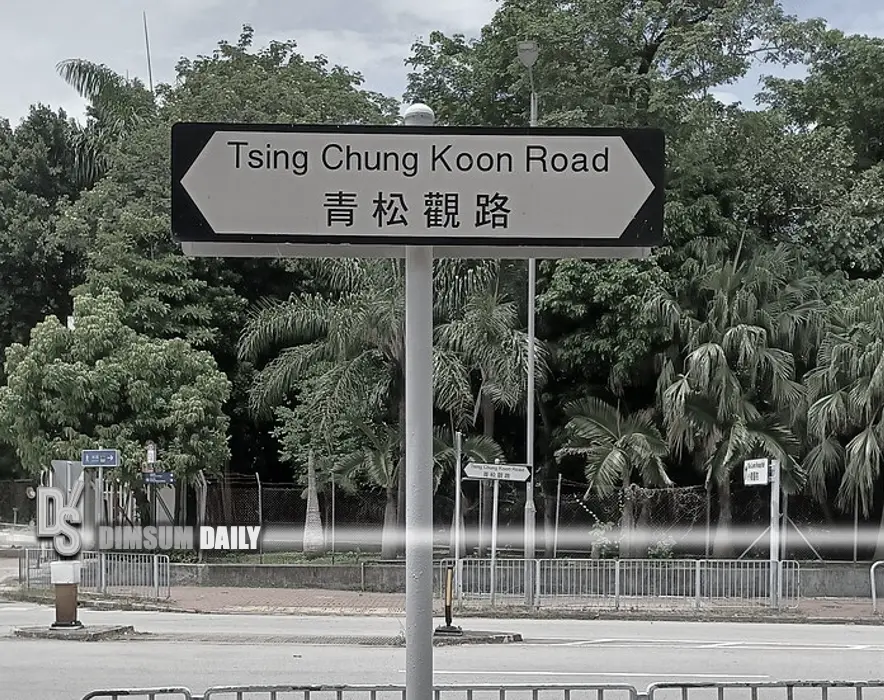 Elderly woman collides with bicycle in Tsing Chung Koon Road, briefly ...