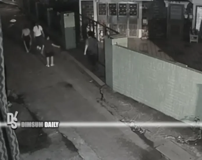 Burglar sneaks into Tin Sam Village home with ease, climbs walls and ...