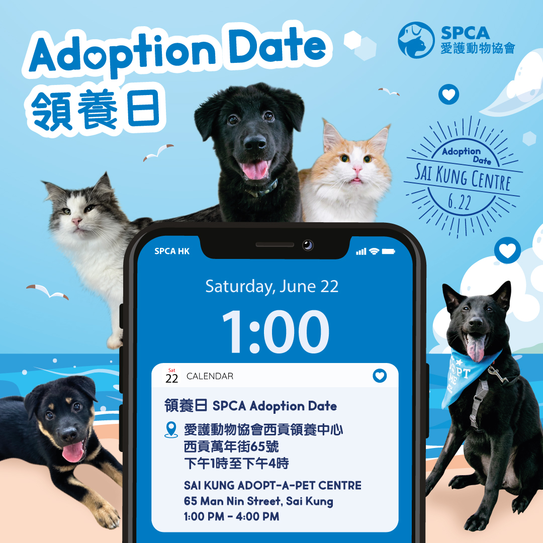 SPCA Sai Kung Adopt-A-Pet Centre reopens with exciting "Adoption Date" event on 22nd June ...