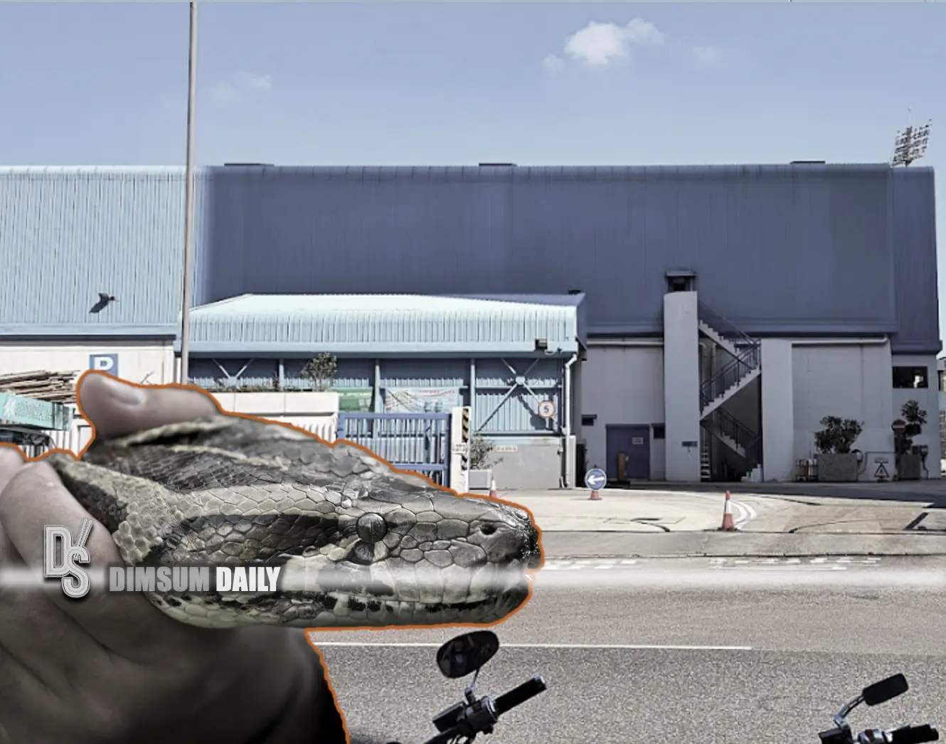 10-foot python captured at Island East Transfer Station in Chai Wan ...