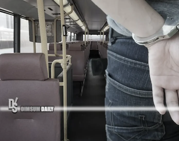 29-year-old man accused of writing inciting messages on bus seats faces ...