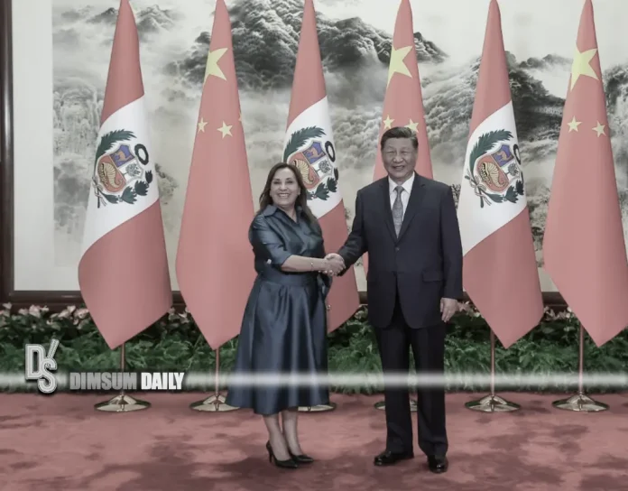 Chinese President Xi Jinping meets Peruvian President Dina Ercilia ...