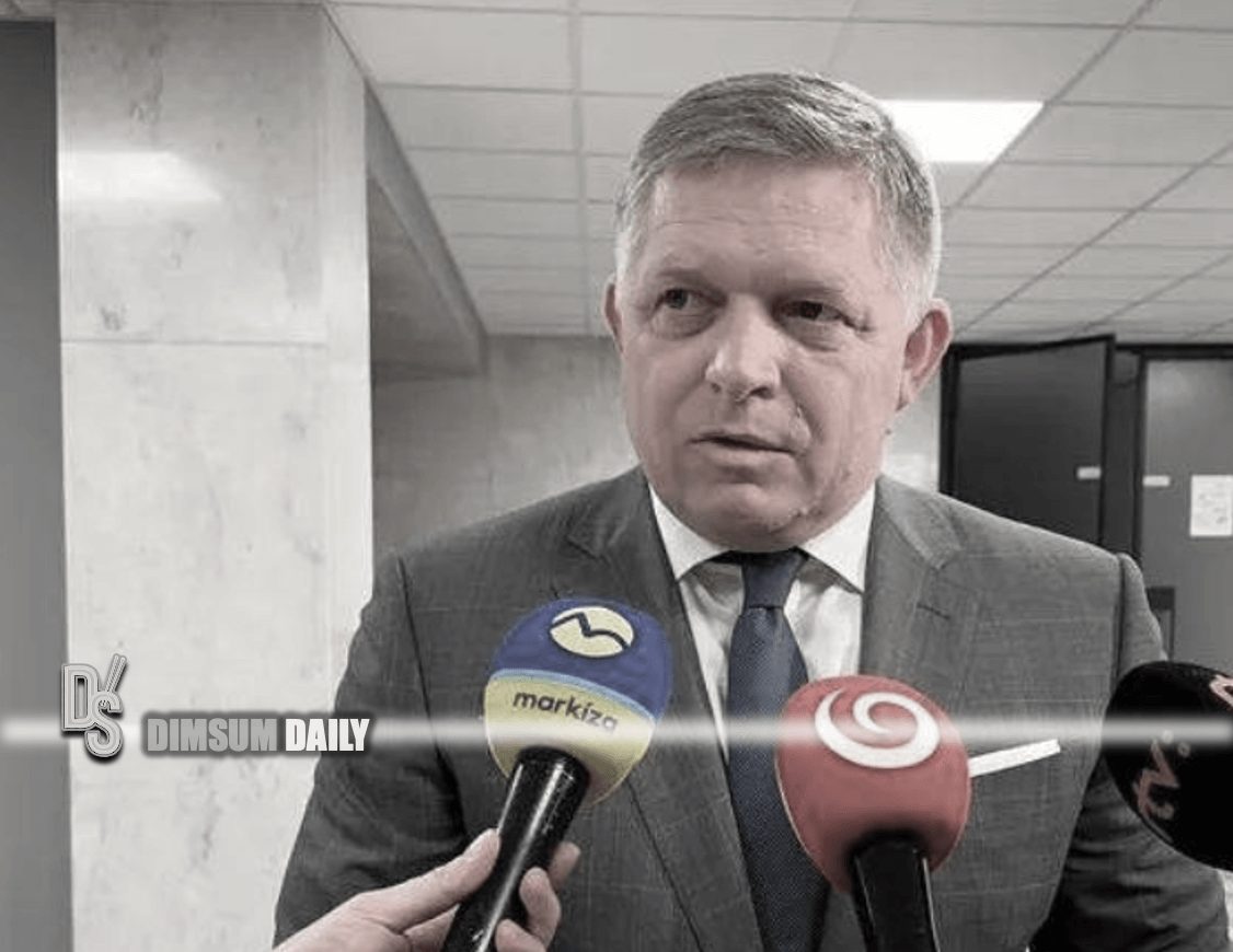 Slovak Prime Minister Robert Fico returns to public stage, advocates ...