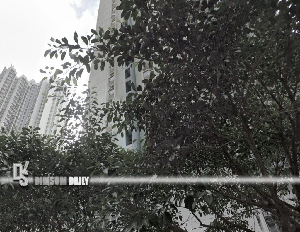 Suicidal man held on perilous ledge at Choi Ying Estate for over half a ...