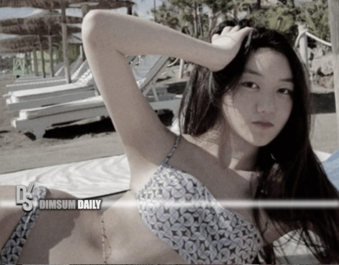 Faye Wong's daughter Li Yan