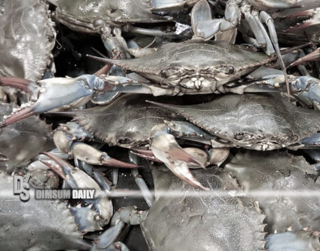 Centre for Food Safety finds imported crab contaminated with toxic ...
