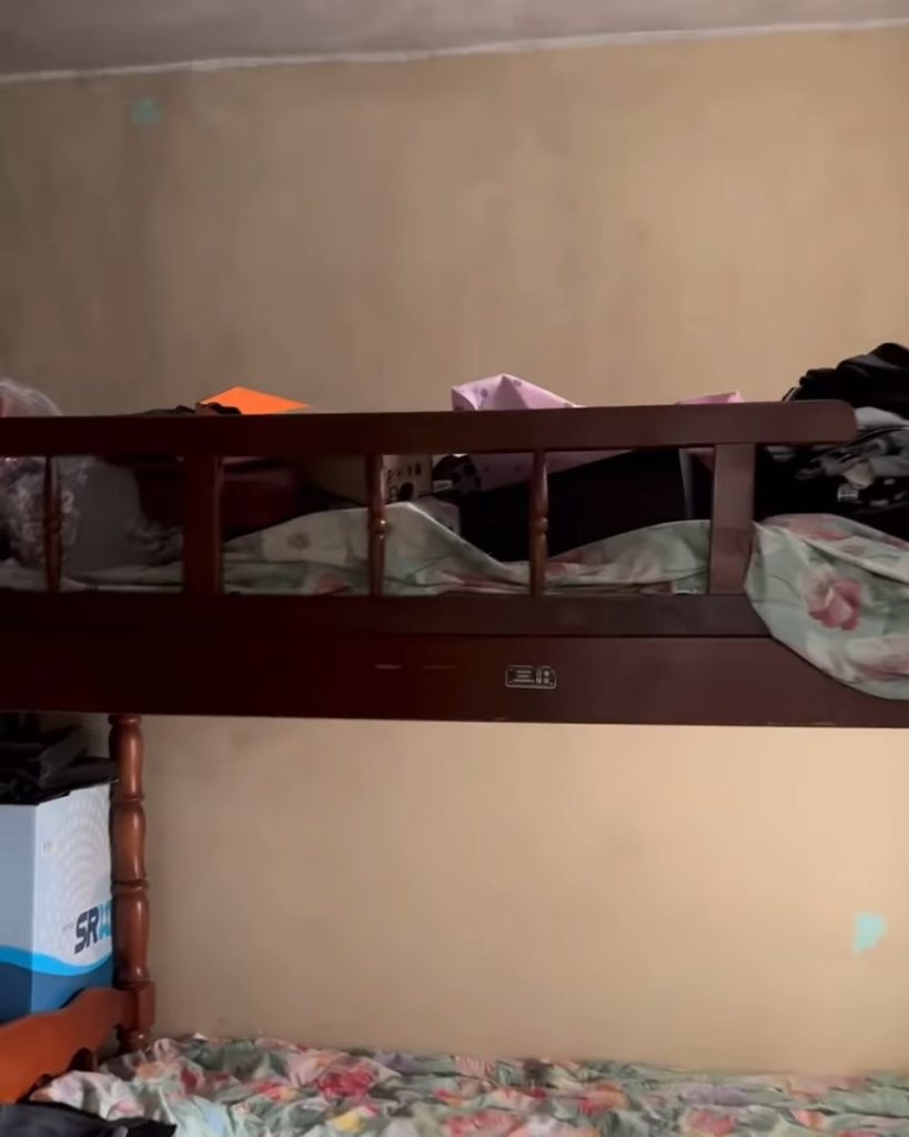 Former Miss Hong Kong Louisa Mak transforms 500sqf public housing unit ...