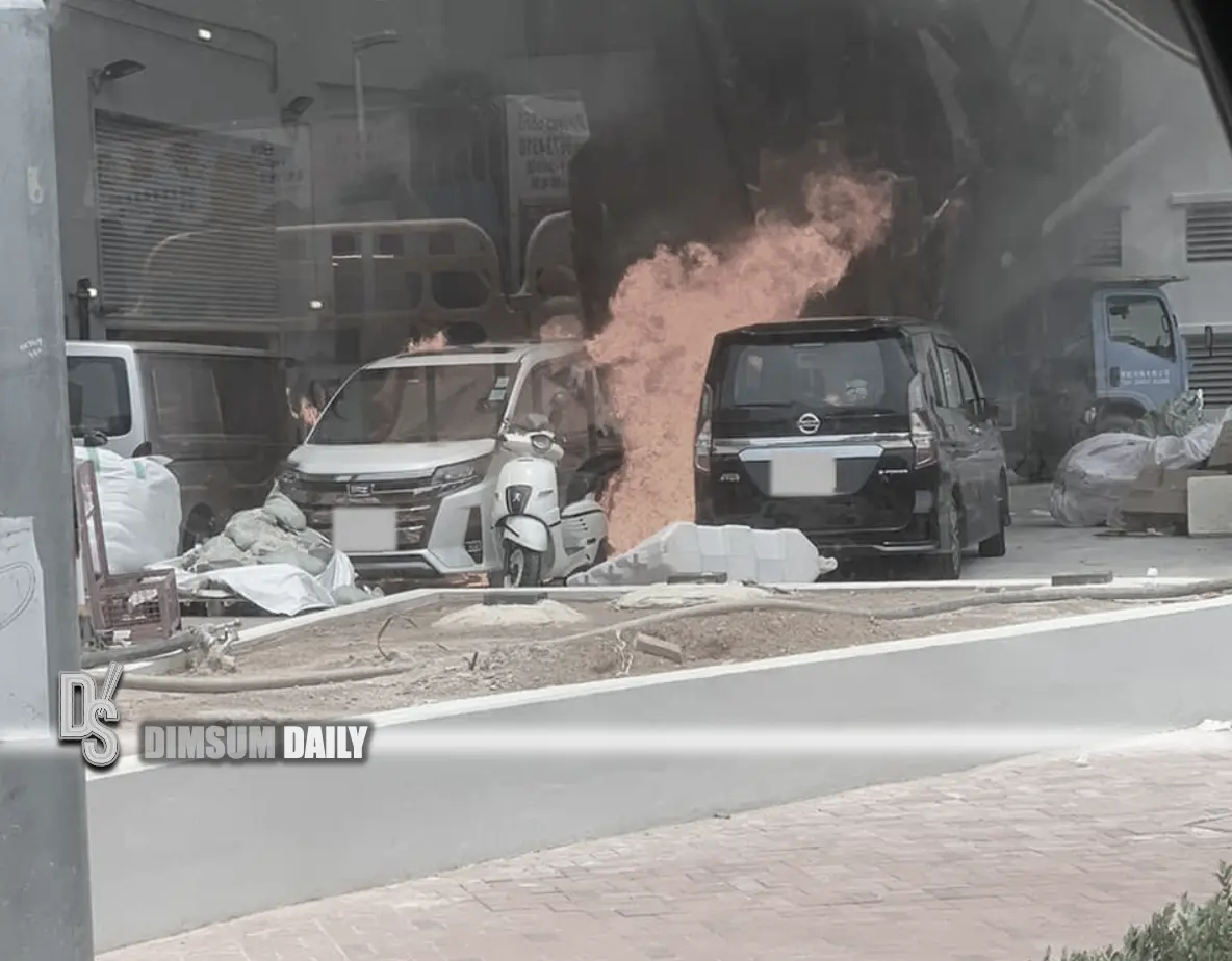 Multiple cars engulfed in flames at Fu Tip Estate in Tai Po