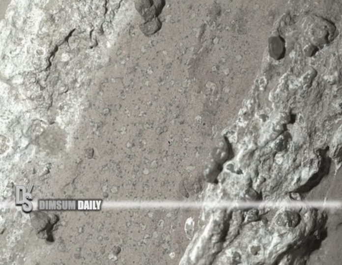 Perseverance rover discovers intriguing rock on Mars, suggests possible ...