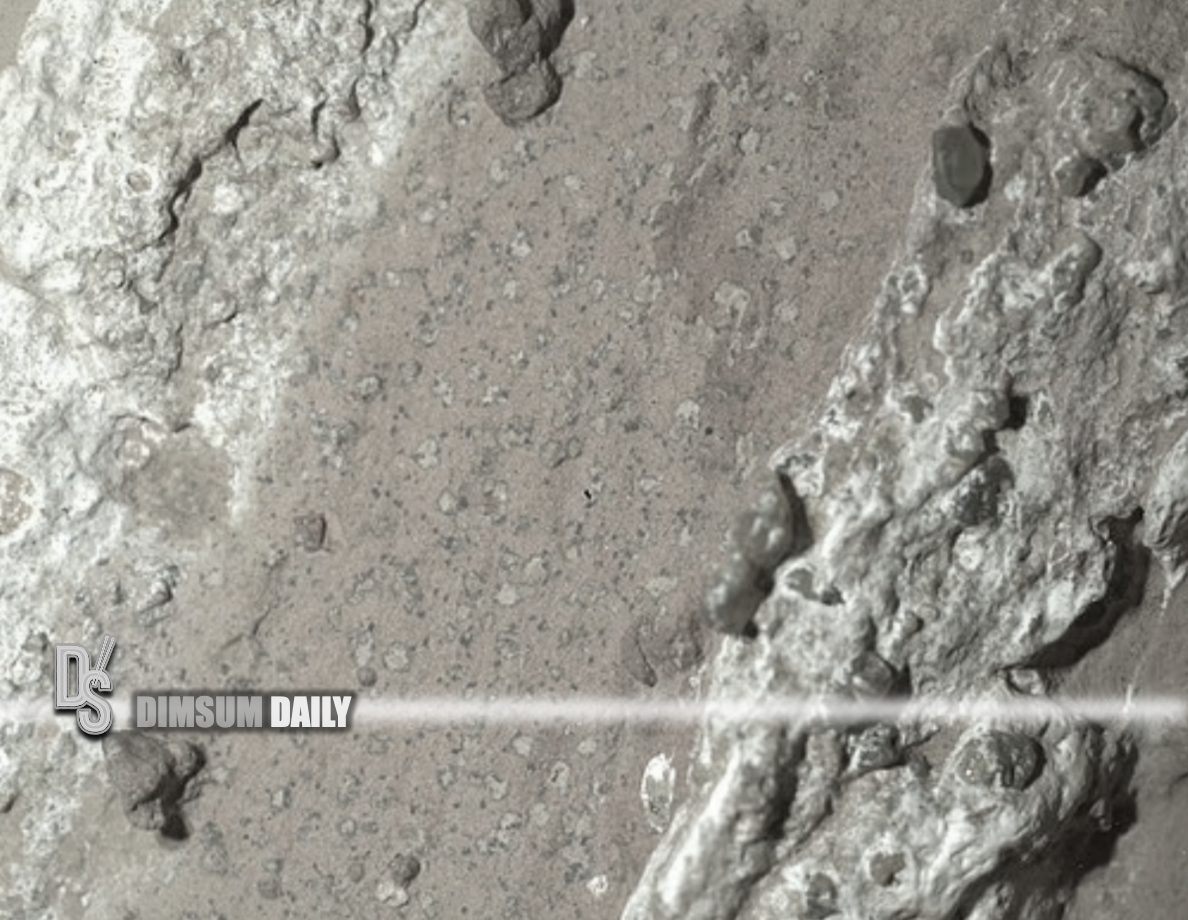 Perseverance rover discovers intriguing rock on Mars, suggests possible ...