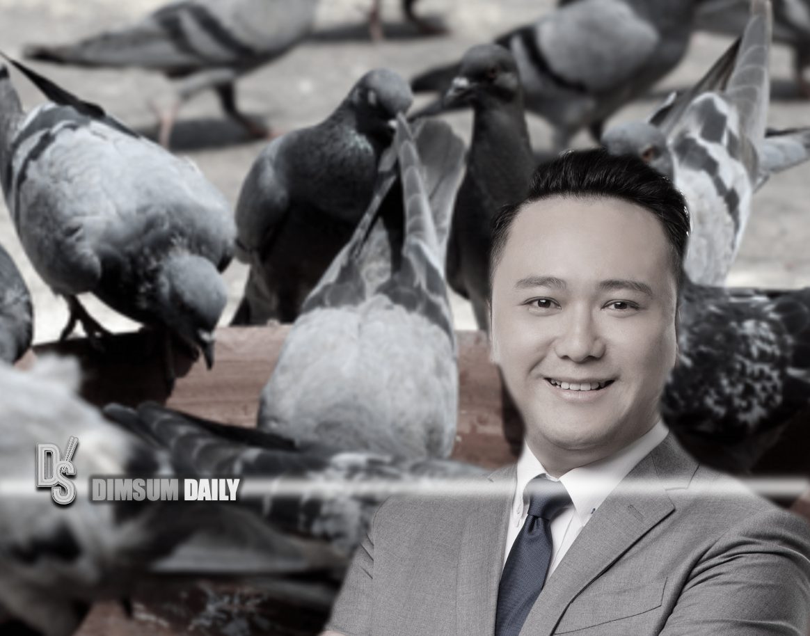 New pigeon feeding ban takes effect today, lawmaker urges government to ...