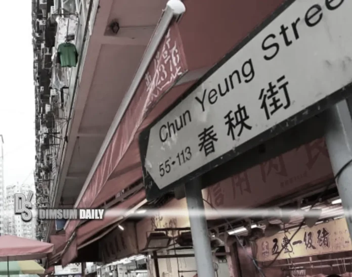 Chinese woman arrested trying to flee Hong Kong after mugging elderly ...