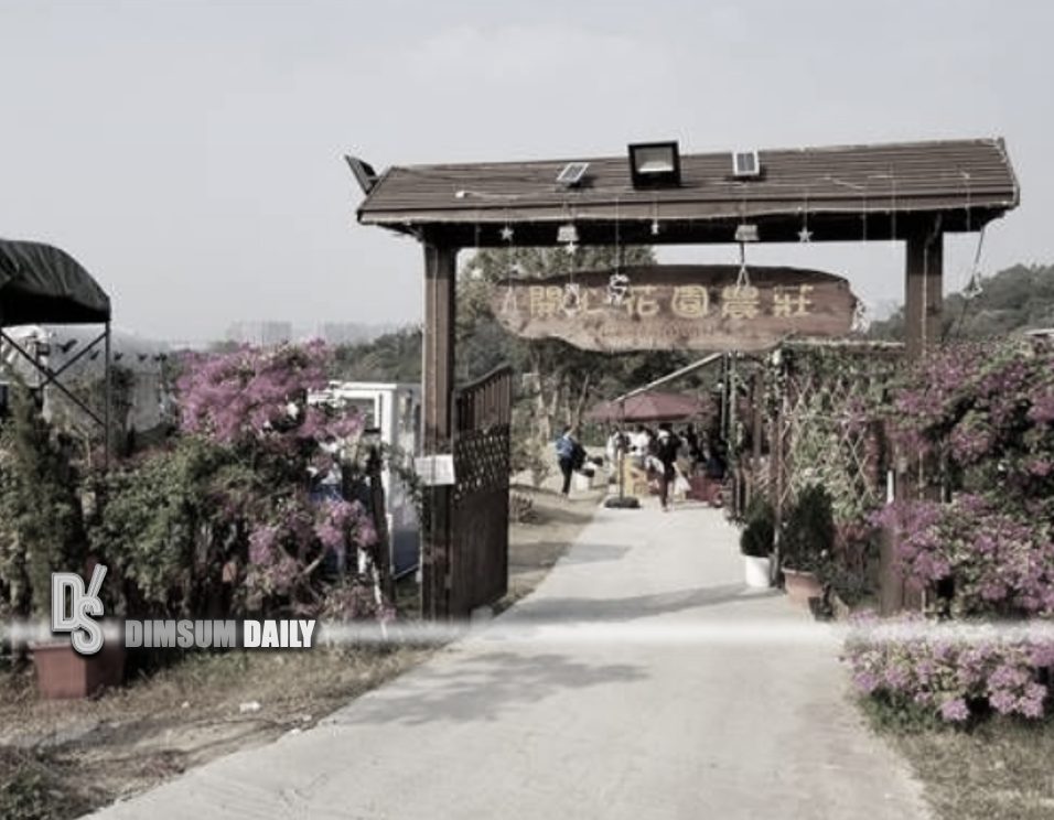 Missing man found deceased near Yuen Long farm after disappearance ...