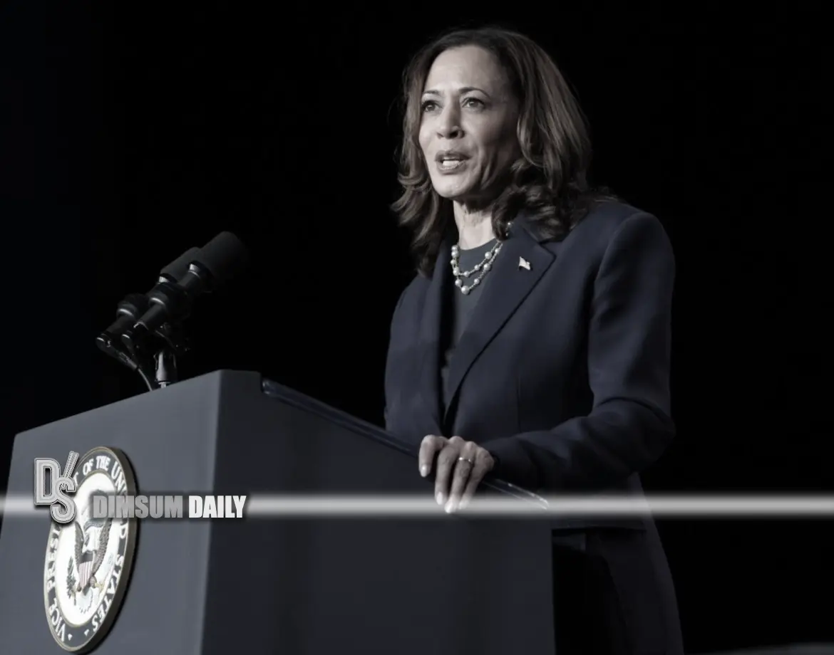 Harris officially nominated as Democrats rally in Chicago