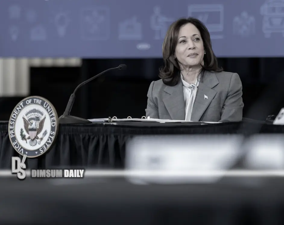 Kamala Harris officially accepts presidential nomination at Democratic ...