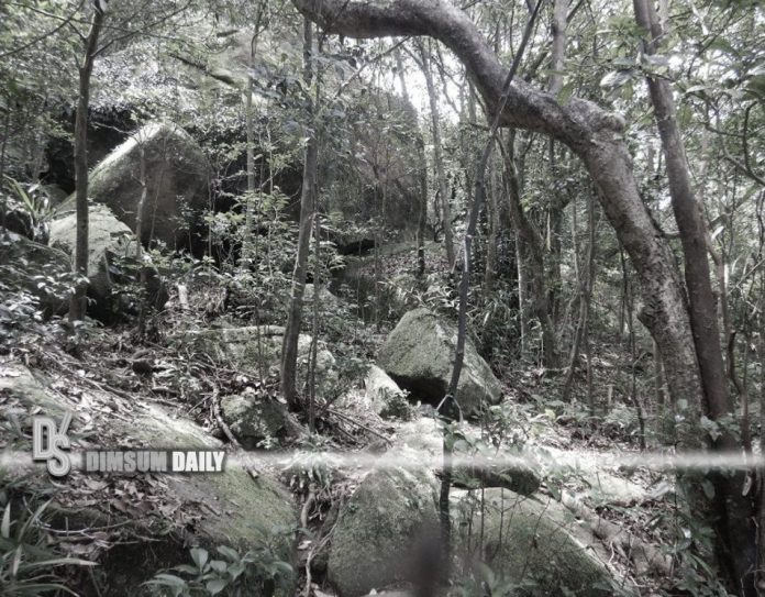 Man dies after suspected insect bite on Tai Mo Shan