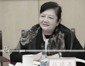 Former Chinese official suspected in Quebec child abduction case