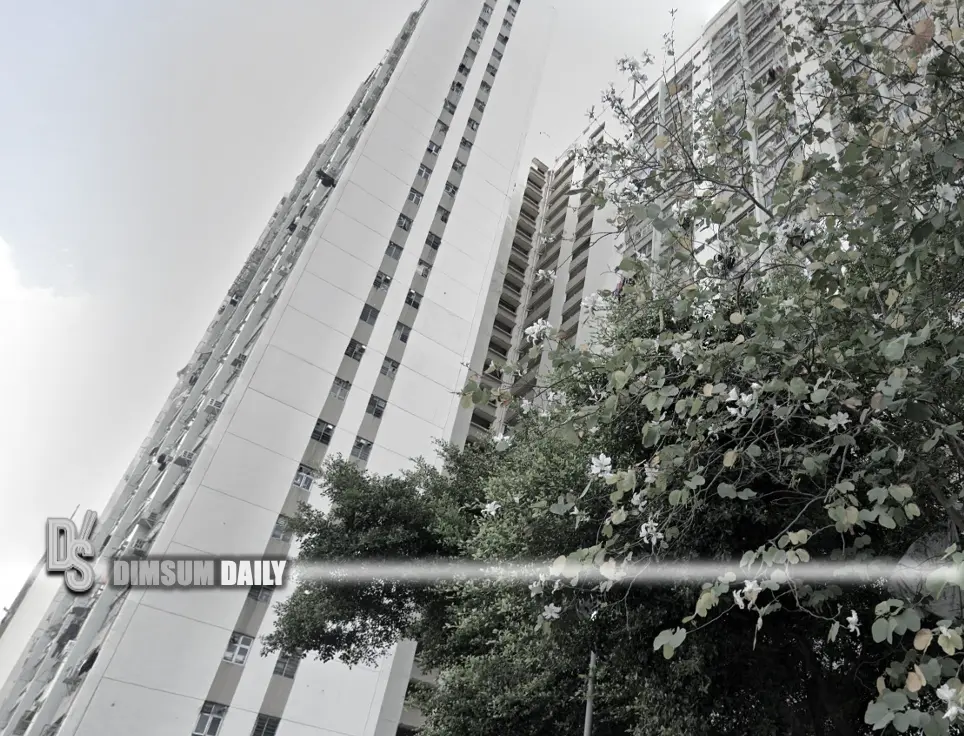 Investigation leads to fatal leap by taxi driver in Tsuen Wan - Dimsum ...