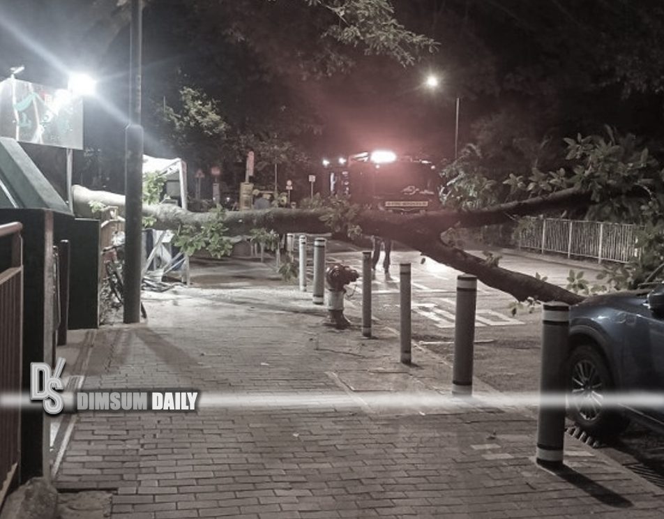 King-Lai-House-Shan-King-Estate - Dimsum Daily