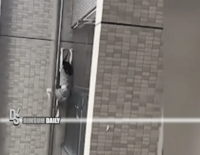 Security guard saves young girl from eight-storey plunge in Huizhou