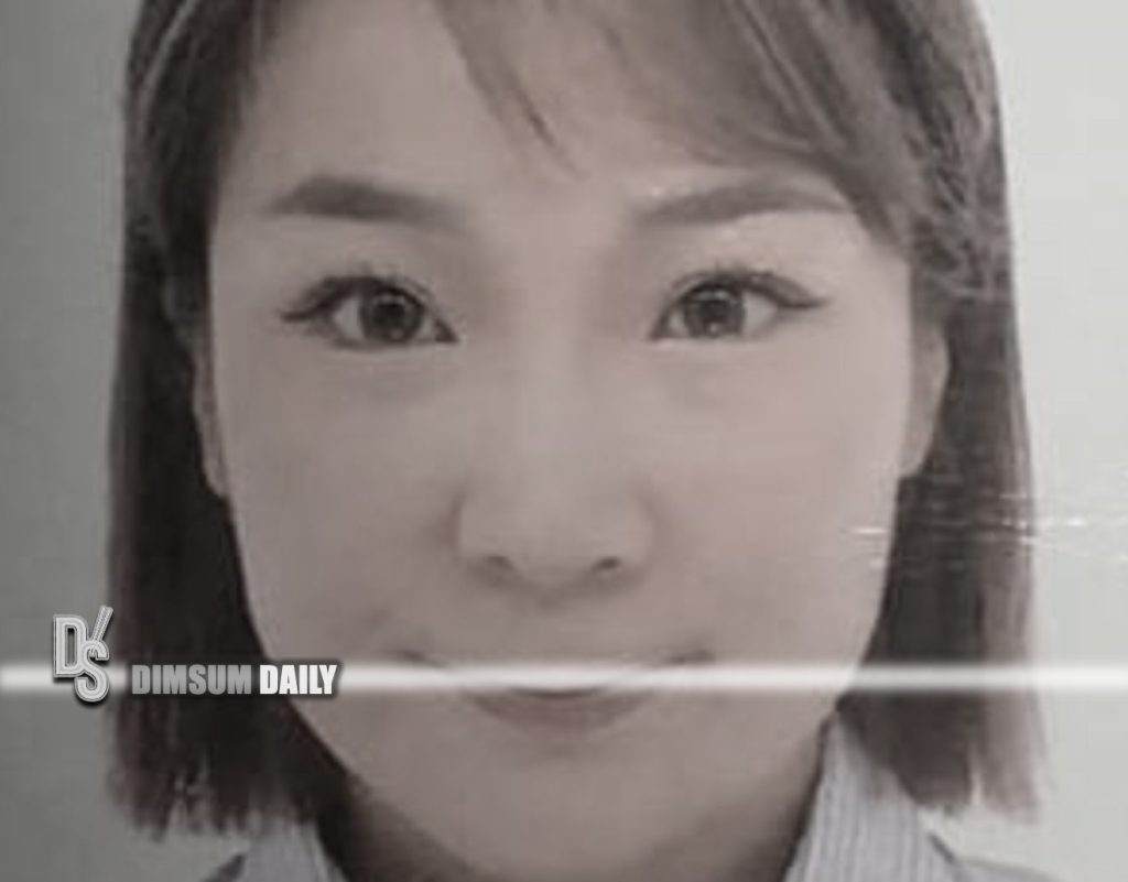 Missing 25-year-old woman found safe at Lok Ma Chau Control Point - Dimsum Daily