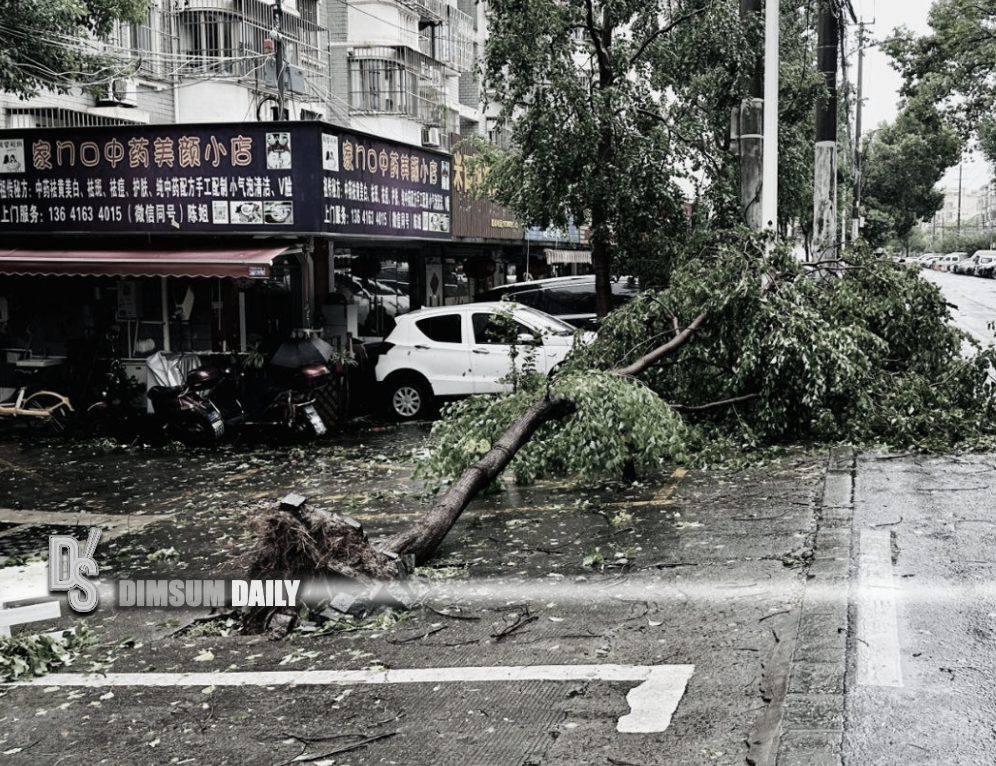 Shanghai evacuates 112,000 as Typhoon Pulasan unleashes record rainfall