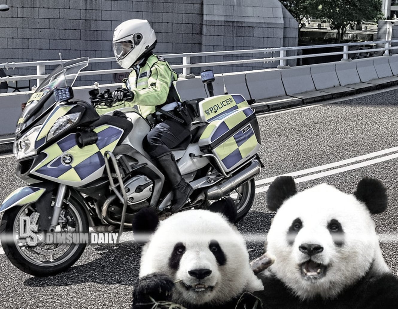Elite police motorcyclists to secure arrival of gifted pandas in Hong ...
