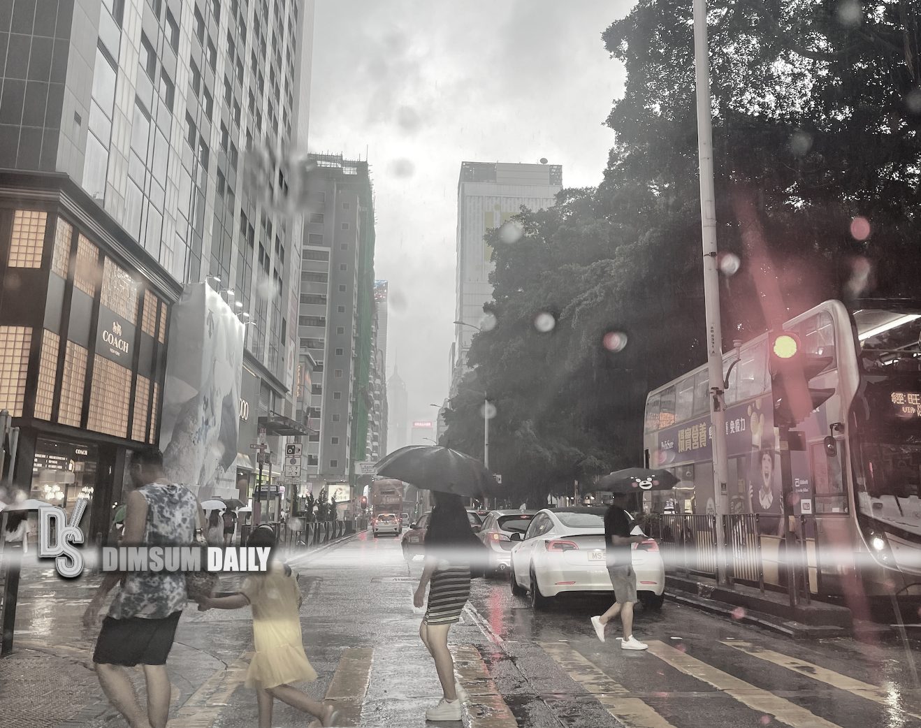 Widespread heavy rain set to approach Hong Kong shortly - Dimsum Daily