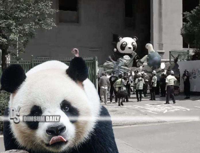 Giant pandas An An and Ke Ke arrive at Ocean Park - Dimsum Daily