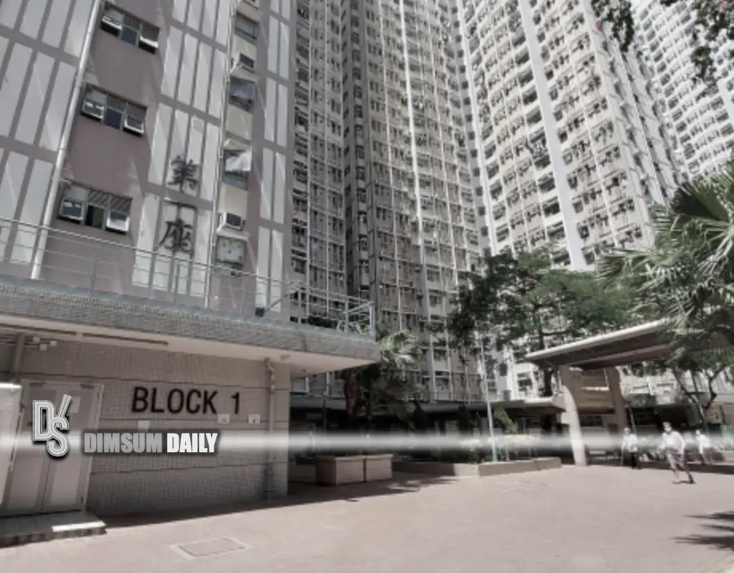 HK government plans to eliminate substandard subdivided flats, groups ...