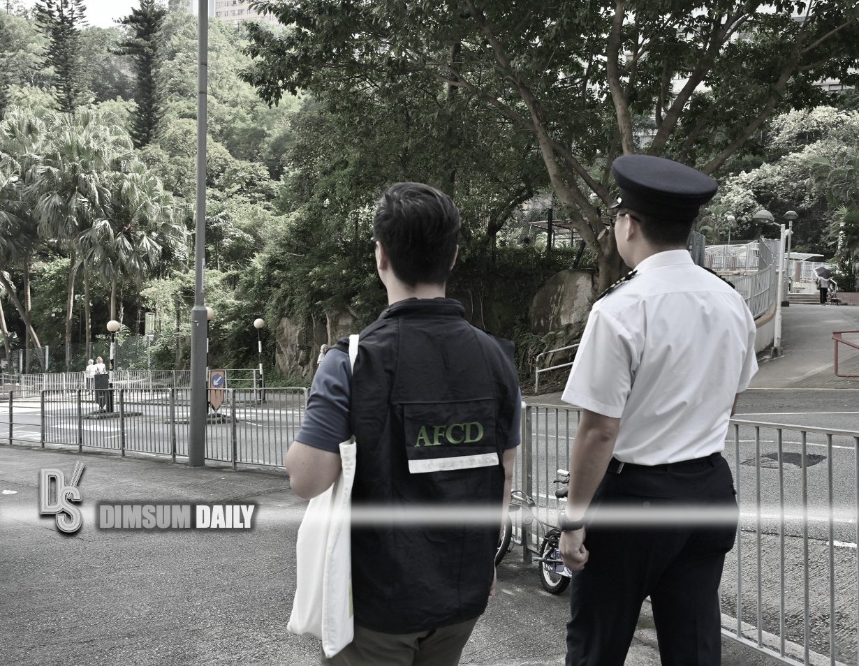 39 fines issued in first month of Hong Kong's new wild animals feeding ban