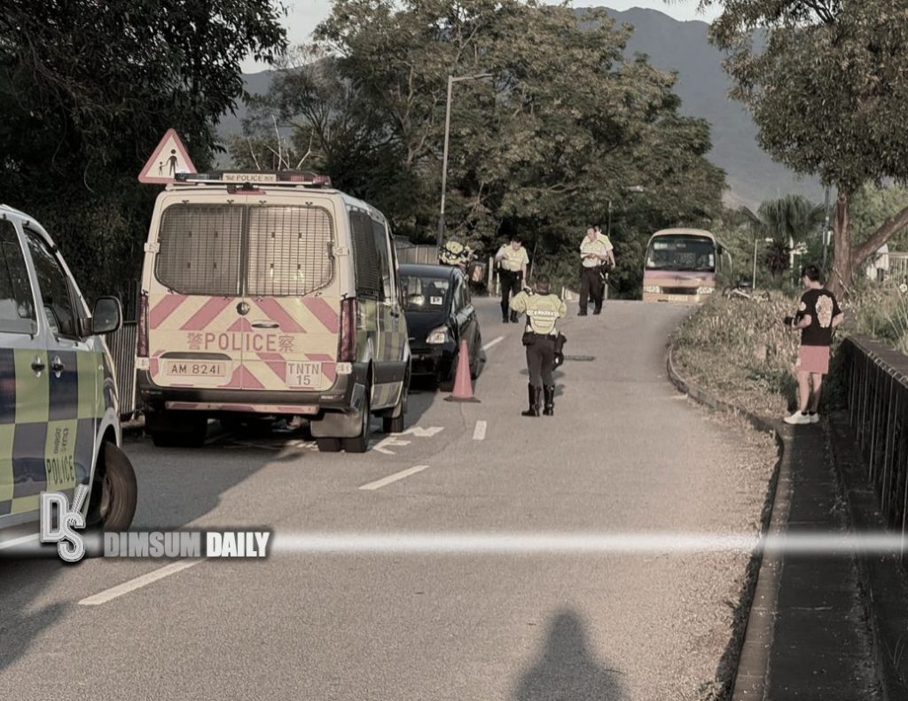 Teen cyclist in critical condition after accident in Pat Heung, 21-year ...