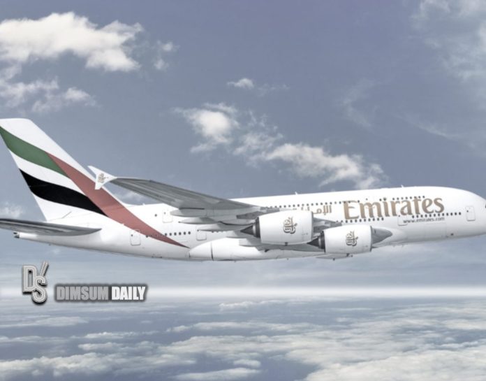 Emirates Airlines bans pagers and walkie-talkies, extends flight ...