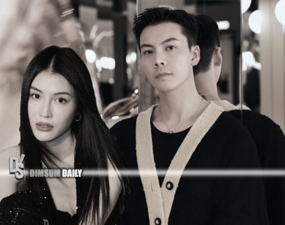 Hong Kong actor William Chan and Chinese supermodel Sui He reportedly spotted together in Japan