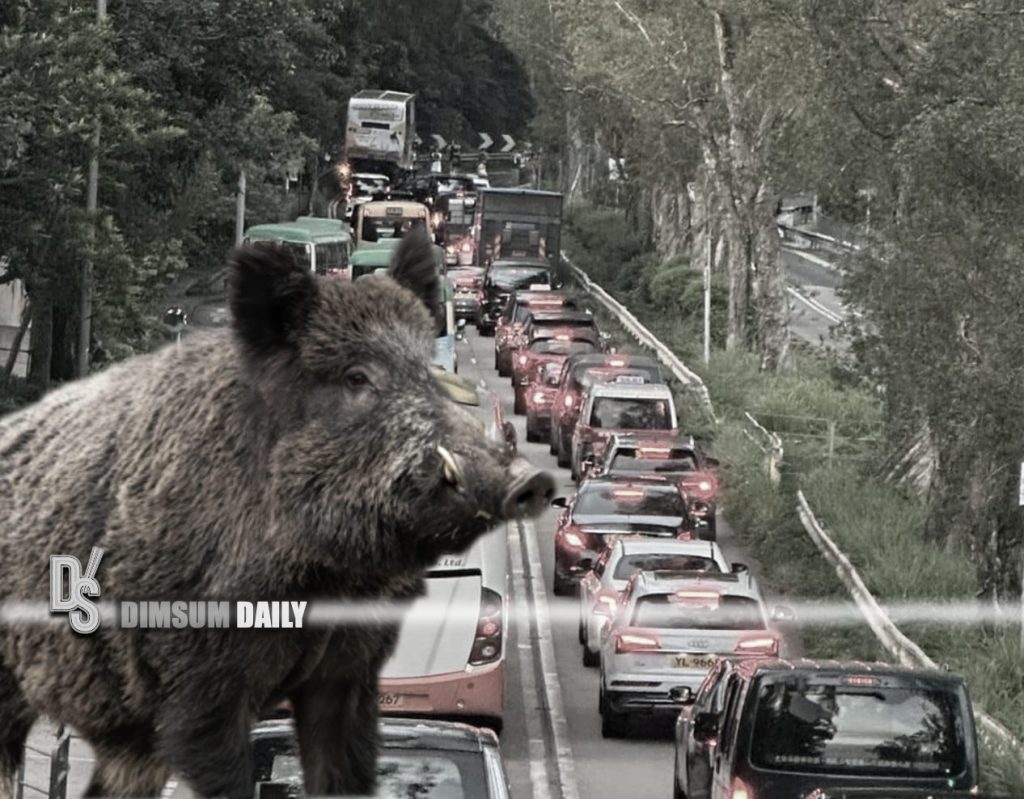 Tesla accident on Clear Water Bay Road injures 5 firefighters after ...