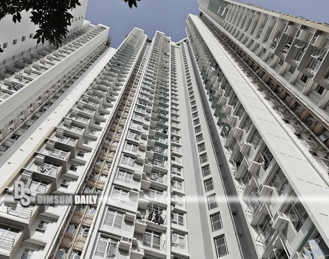 Housing Authority confiscates Shek Mun Estate unit and jails female ...