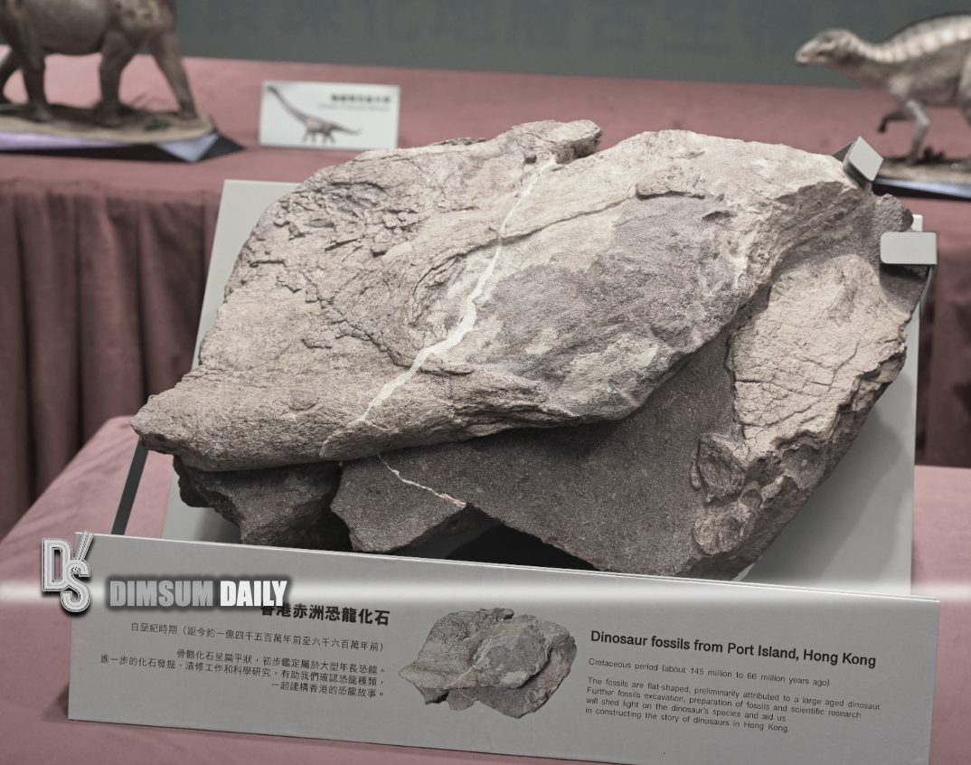 Landmark agreement signed for dinosaur fossil research in Hong Kong