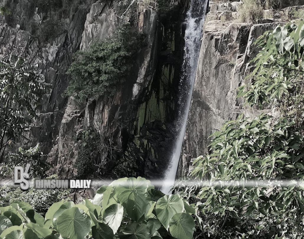 Waterfall Bay Park-23232 - Dimsum Daily