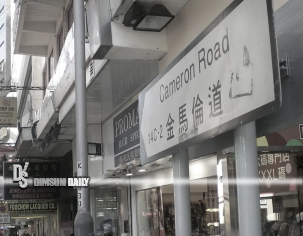 Non-ethnic Chinese Tesla driver detained following escape from ...