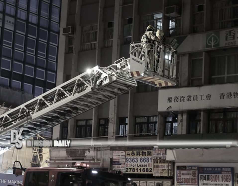 Fire in Yau Ma Tei apartment leaves one cat dead, two residents ...