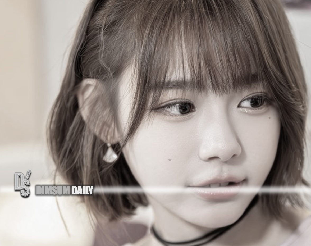 Malaysian actress Lin Min-Chen addresses night market outing in Taiwan ...