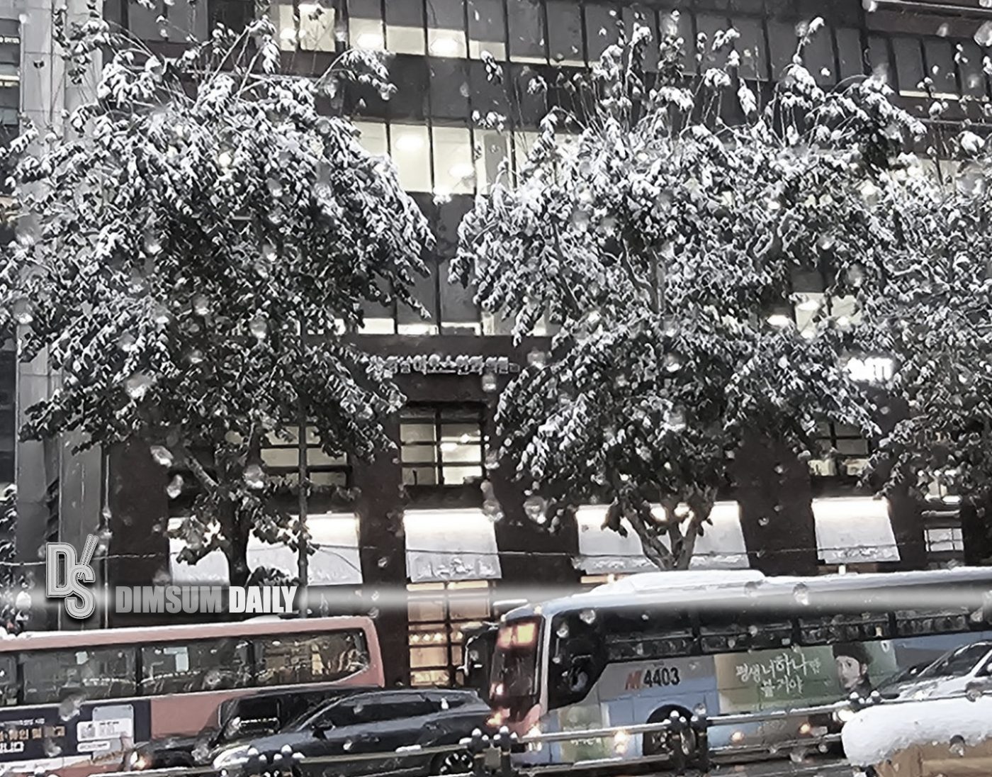 South Korea faces severe snowfall as travel disruptions continue and 4 ...