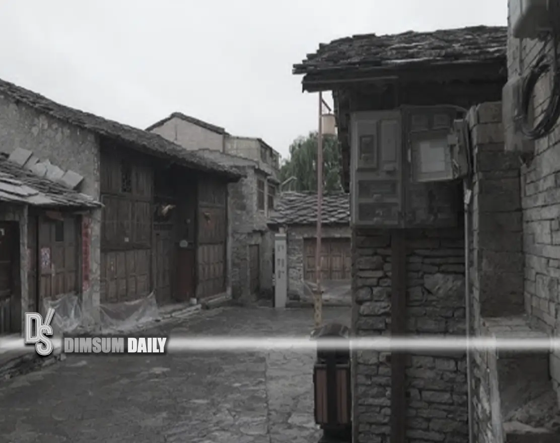 China highlights rural road development in new White Paper