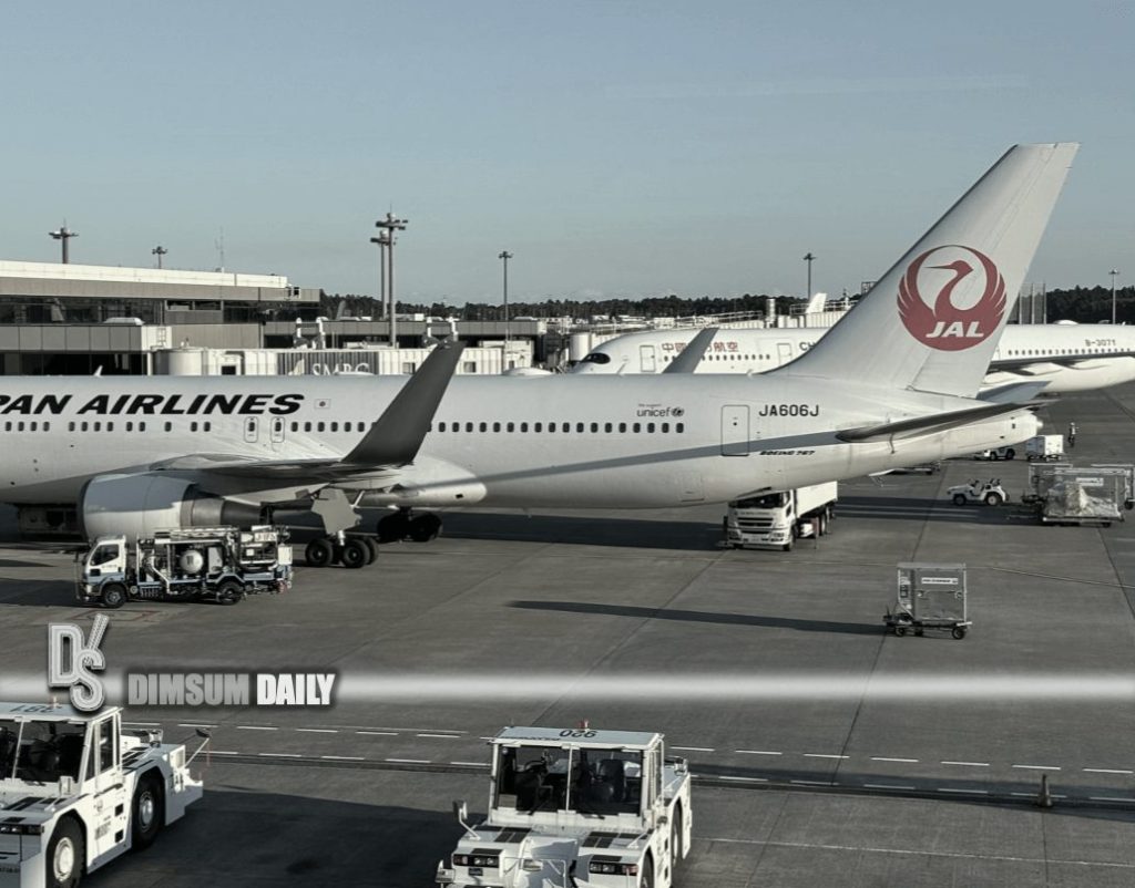 Japan Airlines faces disruptions following cyberattack on baggage system