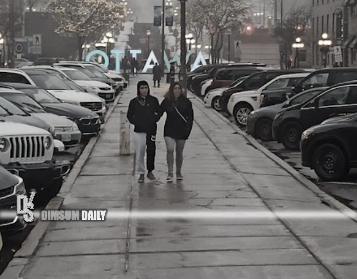 Canada reports 19,000 cases of whooping cough this year