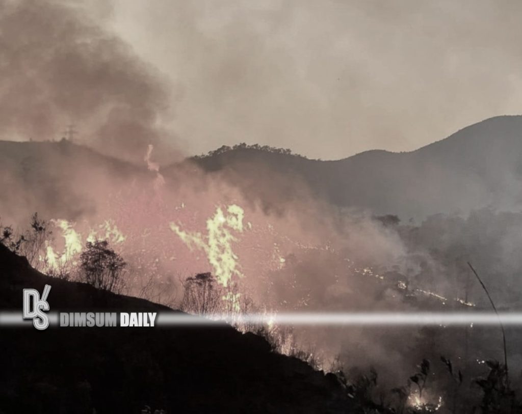 Vegetation fire erupts in Tai Tong, Yuen Long