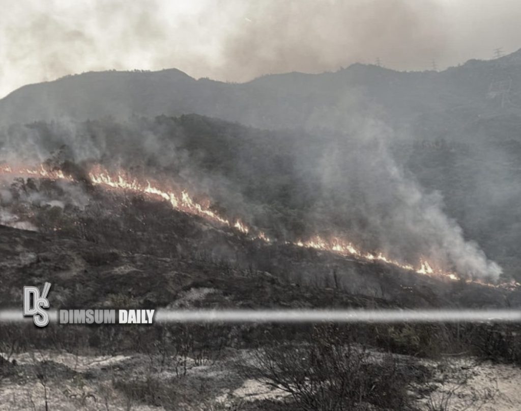 Yuen Long hill fire burns for over 18 hours, still uncontained