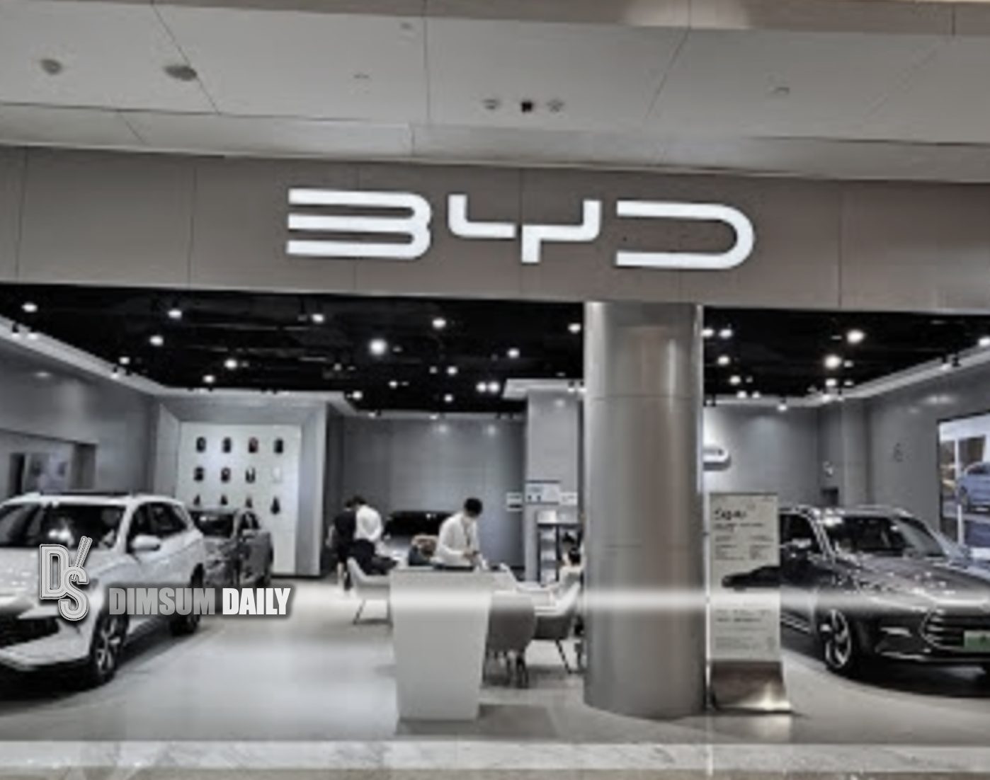 BYD reports 41% surge in new energy vehicle sales for 2024
