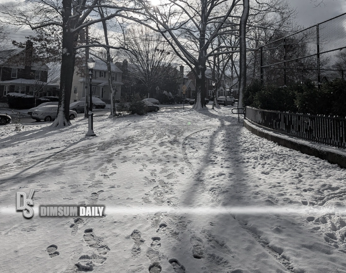 Severe winter storm hits the eastern U.S., bringing blizzard conditions