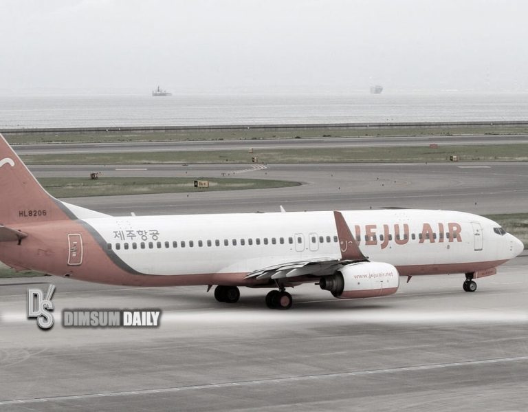 Analysis reveals Jeju Air flight 7C2216 tragedy involved collision with ...